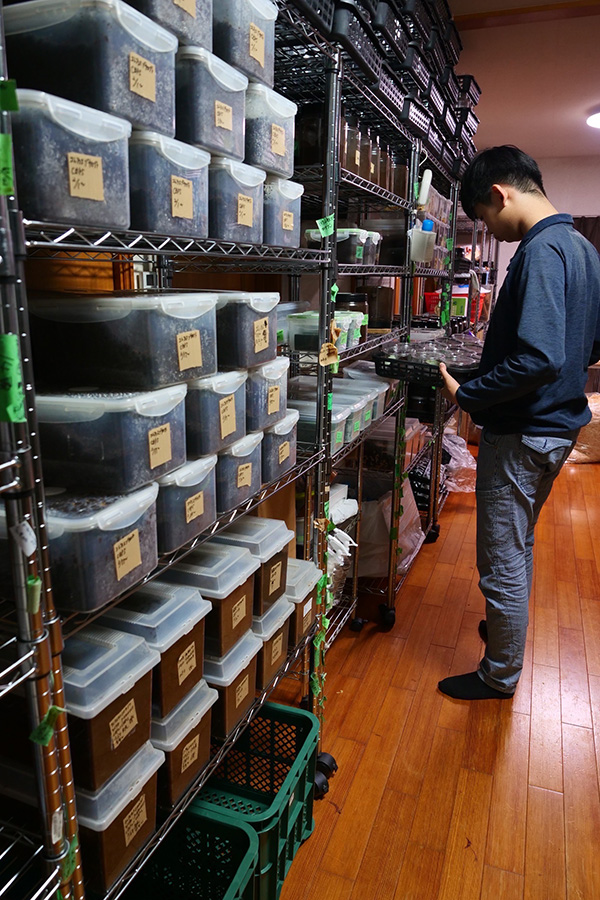 春田雄輝さん（経営学科4年）が昆虫の飼育繁殖ビジネスを起業｜経済学部｜IUK NEWS｜鹿児島国際大学